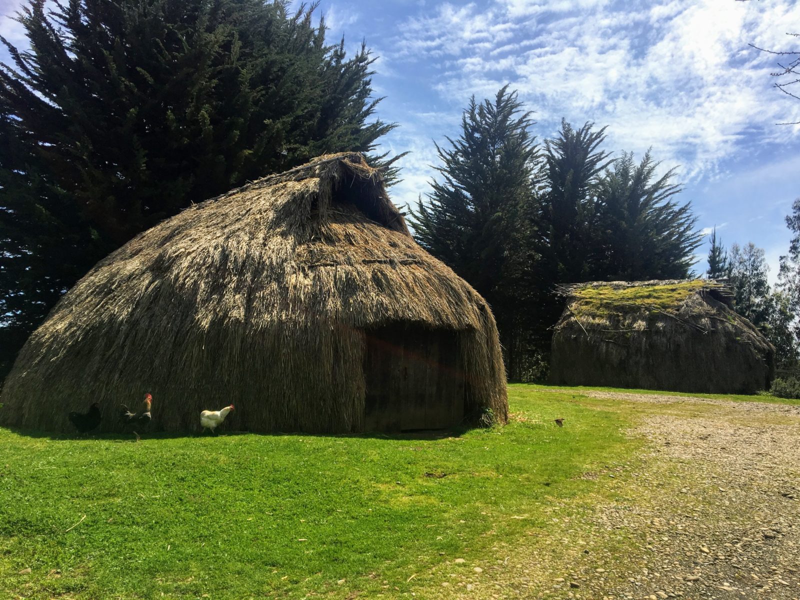 De ruta Mapuche – The World Beyond Us